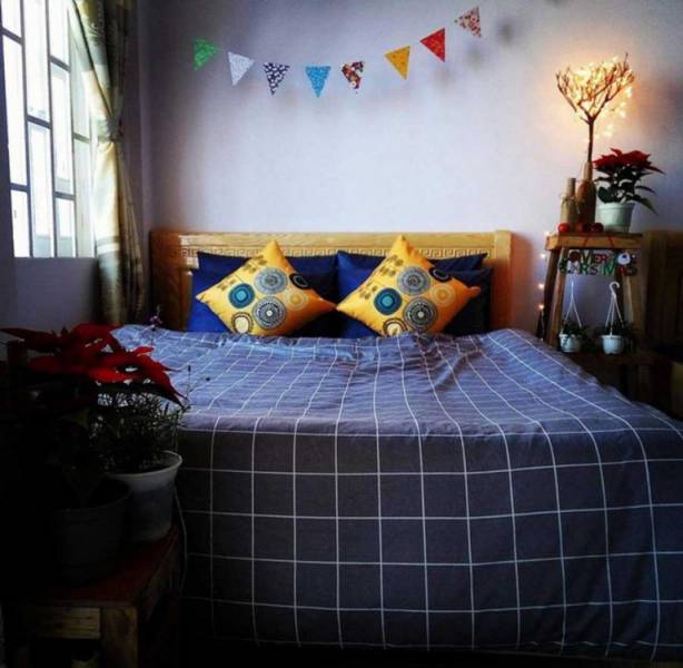 Homestay-style rental housing causes fever today